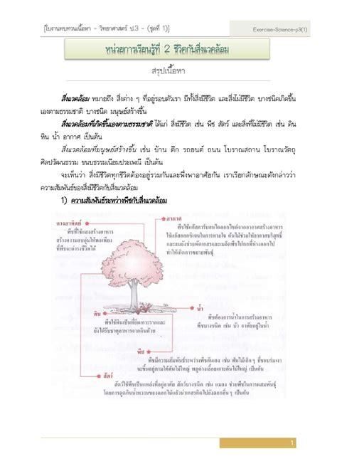 แบบทดสอบ แบบฝึกหัด ใบงานทบทวนเนื้อหา วิชาวิทยาศาสตร์ ป 3 ชุดที่ 1 หน่วยการเรียนรู้ที่ 2