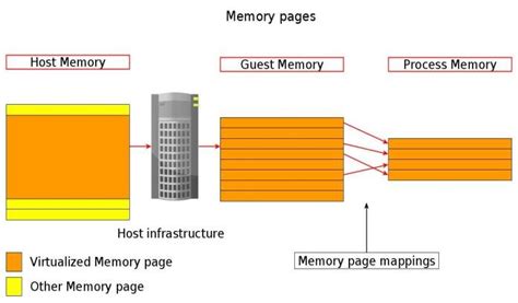 physical and virtual memory page mappings download scientific diagram