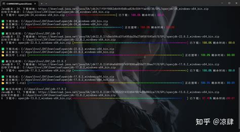 怎么换 Java 的运行版本？ 知乎
