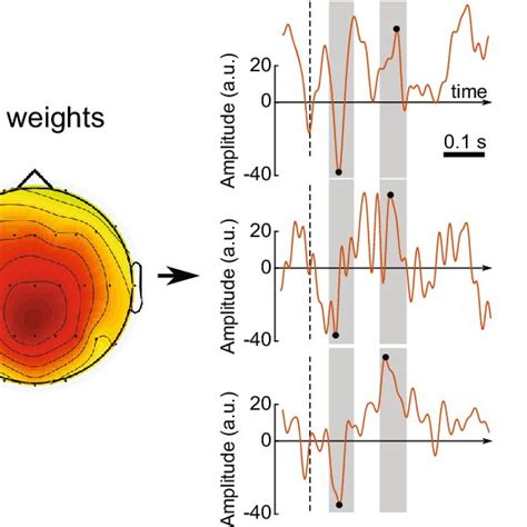 Eeg Informed Modelling A The Schematic Diagram Of Extracting
