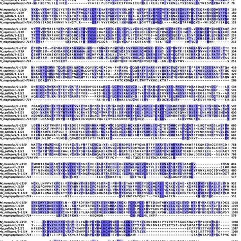 Figure S8 Multiple Sequence Alignment Showing The Sequence