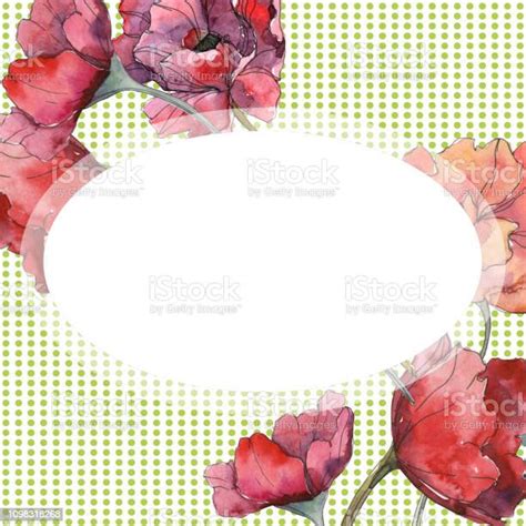 빨간 양 귀 비 꽃 식물 꽃입니다 수채화 배경 그림 설정 합니다 프레임 테두리 장식 스퀘어입니다 그리기에 대한 스톡 벡터 아트 및 기타 이미지 Istock