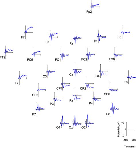 Topographically Plotted Fixation Related Potentials Average Voltage Download Scientific