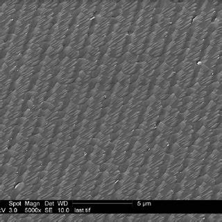SEM Image Of A Recorded CD R Download Scientific Diagram