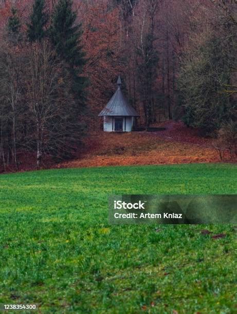 녹색 잔디 초원과 갈색 떨어지는 잎 국가 측 황야 농촌 환경 공간 사진의 수직 형식과 숲 가장자리 경치보기에 가을 9 월 풍경 나무 오두막 0명에 대한 스톡 사진 및 기타