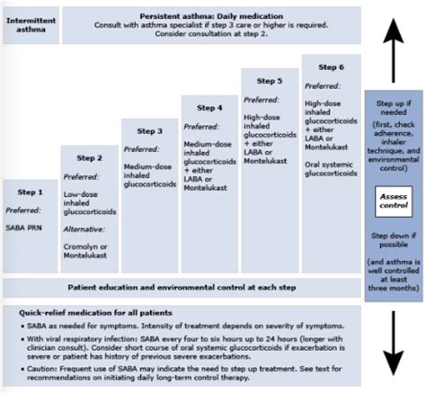 Asthma Flashcards Quizlet