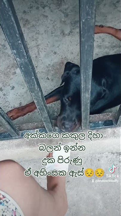 අක්කාගෙ කකුල ගැන කෙල්ල ඉන්නෙ දුකෙන් 😔 Youtube