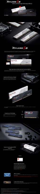 G Skill Ripjaws S GB DDR MHz Desktop Memory