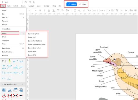 A Guide To Understand Bird With Diagram EdrawMax Online