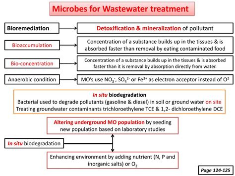 Bioremediation Of Contaminants Ppt Download