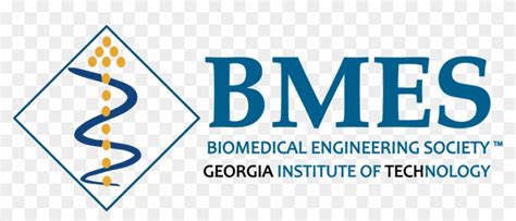 Biomedical Engineering Program Details Study Georgia