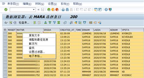 Sap Abap 数据导出sap如何导出数据 Csdn博客