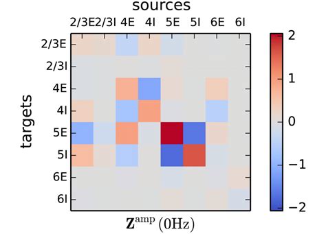 Connections Relevant For Low Frequency Oscillations The Matrix Download Scientific Diagram