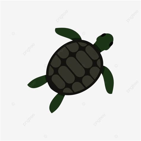 웹에 대 한 흰색 배경 벡터 일러스트 레이 션에 고립 된 평면 원에 녹색 바다 거북 아이콘 대양 수영 보호 Png