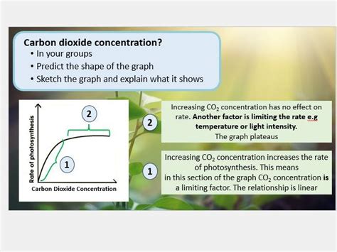 Aqa Gcse B4 Factors Affecting The Rate Of Photosynthesis Limiting Factors Teaching Resources