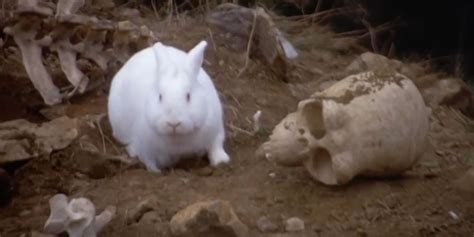 Monty Python And The Holy Grails 10 Funniest Scenes