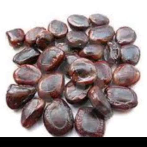 Jual BIJI ASEM JAWA SUPER KG Shopee Indonesia