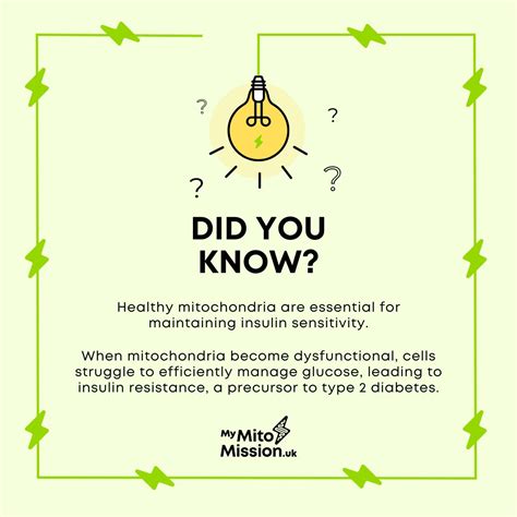 Did You Know 🤔 Mitochondria The Powerhouse Of The Cell Are