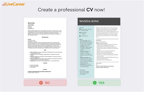Waitress CV Examples Tips Templates 2025