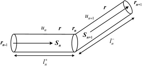 The Linear Basis Functions Defined On The Connected Segments Download Scientific Diagram