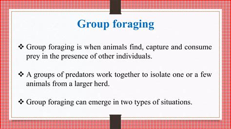 Foraging Behavior In Mammals Pptx