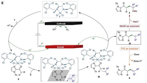 Researchers Realize Asymmetric Electrochemical Radical