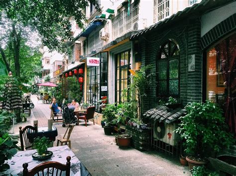 成都泡桐树成都泡桐树中学成都泡桐树街大山谷图库