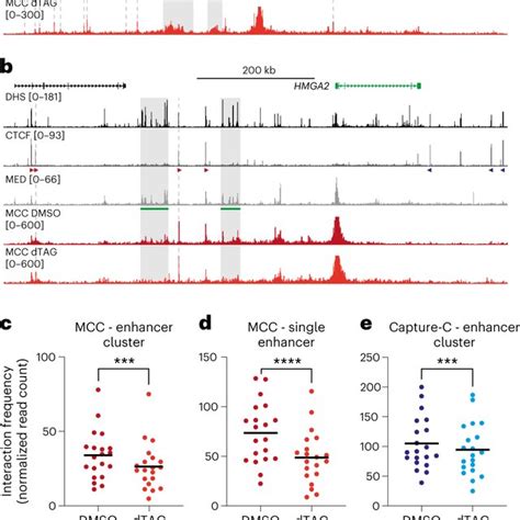 Depletion Of Mediator Leads To Decreased Enhancer Promoter Interactions