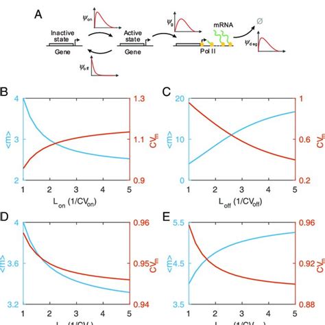 A Schematic Representation Of A Genetic Toggle Switch Model With Download Scientific Diagram