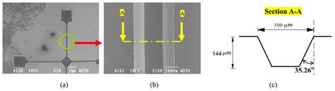 Hybrid Integrated Silicon Microfluidic Platform For Fluorescence Based
