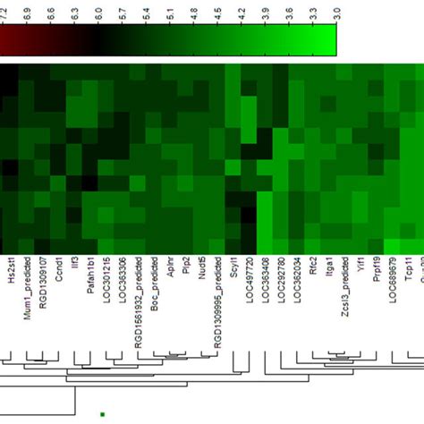 Visualization Of A Set Of Altered Genes By Hierarchical Clustering