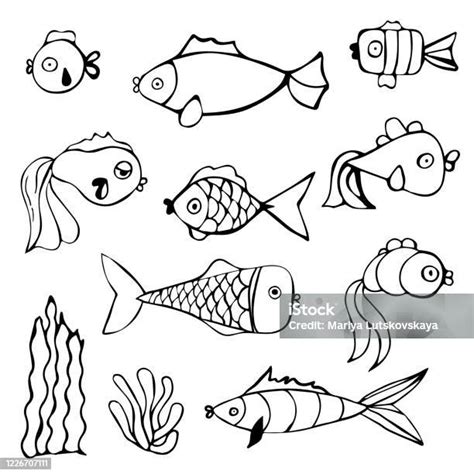 귀여운 만화 물고기 색칠 하기 책에 대 한 흑백 벡터 그림입니다 흰색 배경에 고립 된 낙서 물고기 컬렉션 물고기에 대한 스톡 벡터 아트 및 기타 이미지 Istock