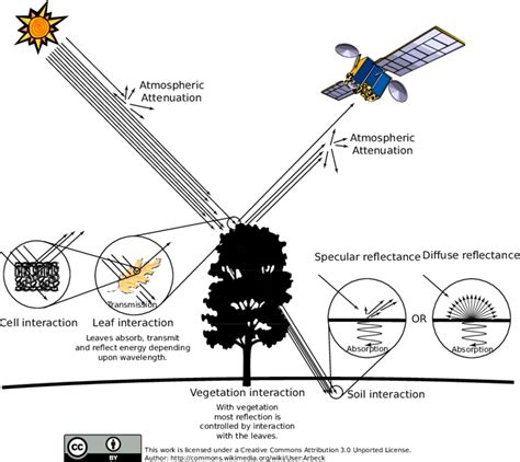 1 A Typical Passive Remote Sensing Environment Download Scientific