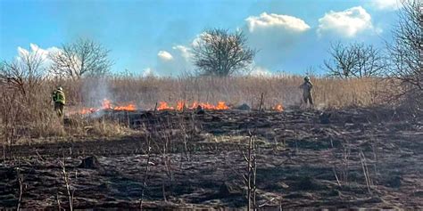 4 пожежі за добу в природних екосистемах погасили рятувальники Рівненщини 7 днів
