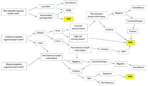 Of National Comprehensive Cancer Network NCCN Guidelines For Download Scientific Diagram