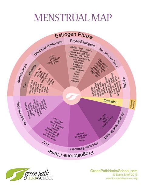 The Menstrual Map With Elaine Sheff 12 — Herbrally Menstrual Health Menstrual Cycle