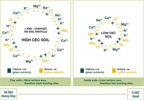 Soil Nutrient Relationships BioAg