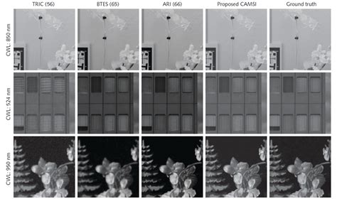 Camera Array For Multispectral Imaging Offers High Spatial Temporal