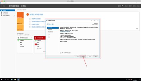 Aspnet Core Webapi 在windowsserver2016版的部署安装教程（保姆级教程 多图预警 内网级