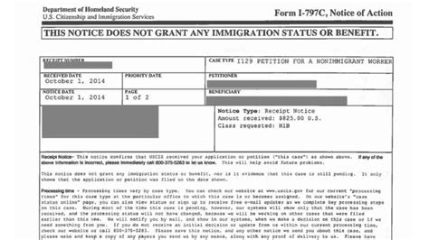 Majors That Will Remain Employable After Ai Disruption Next 10 Years