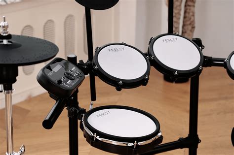 Fesley Musical Instrument