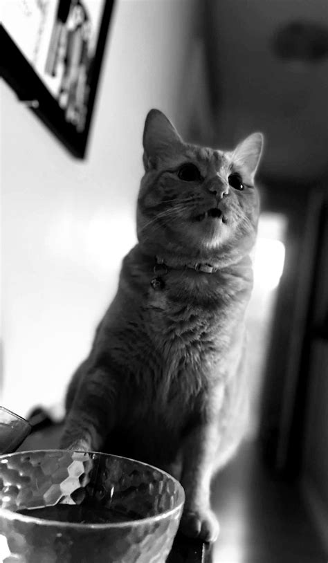 Whats Ralphs Ptsd Flashback 👉 R Oneorangebraincell