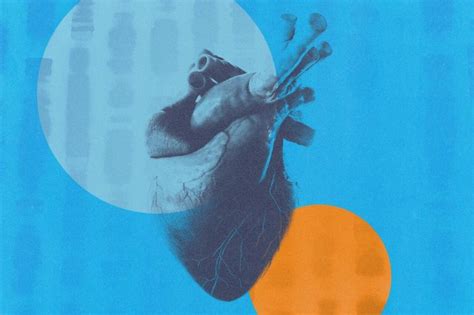 An International Team Of Scientists That Includes A University Of Virginia Scientist Has