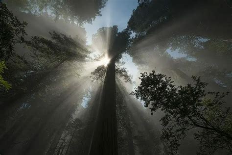 Depth Photography Examples