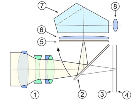 Parts Of The Slr Diagram Quizlet