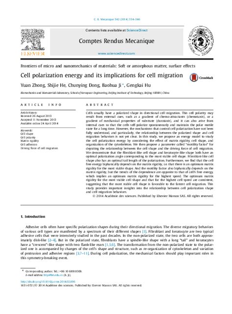 Pdf Cell Polarization Energy And Its Implications For Cell Migration