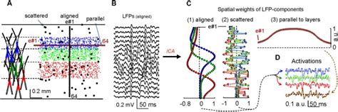 Correct Spatial Sampling Of Electric Fields Optimizes The Separation Of