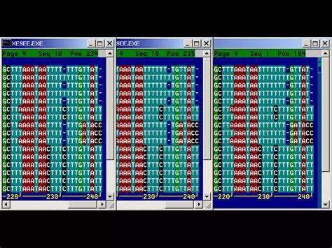 introduction to sequence alignment pptx