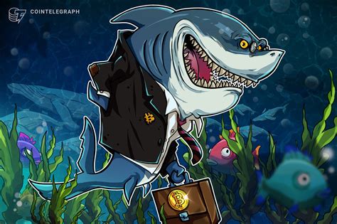 Bitcoin Speculators Are Underwater On Of Their BTC Bags Research