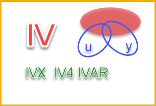 Input Output Polynomial Models MATLAB Simulink